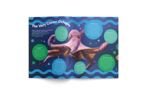 33: The Clever Issue - Kazoo magazine
